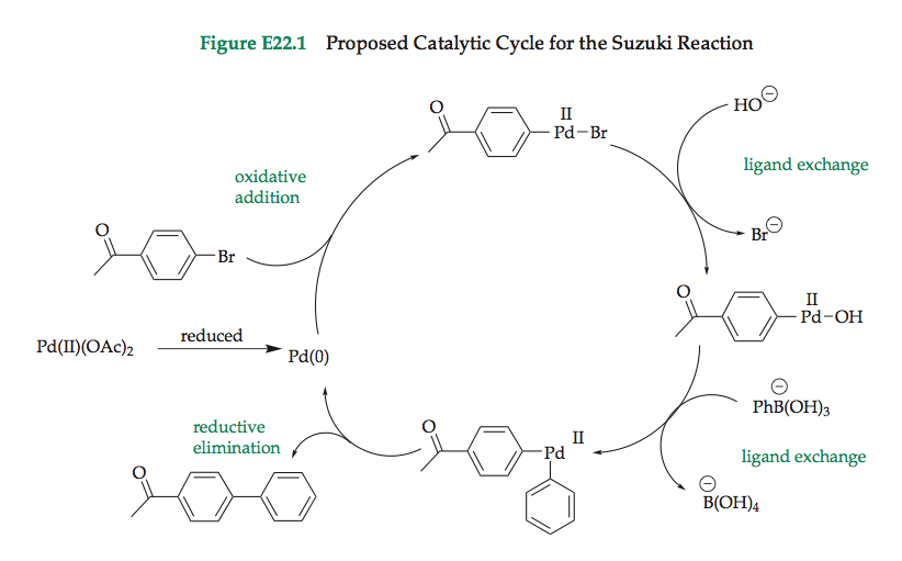 Solved Label the 13C[1H] NMR spectra for the Suzuki reaction | Chegg.com