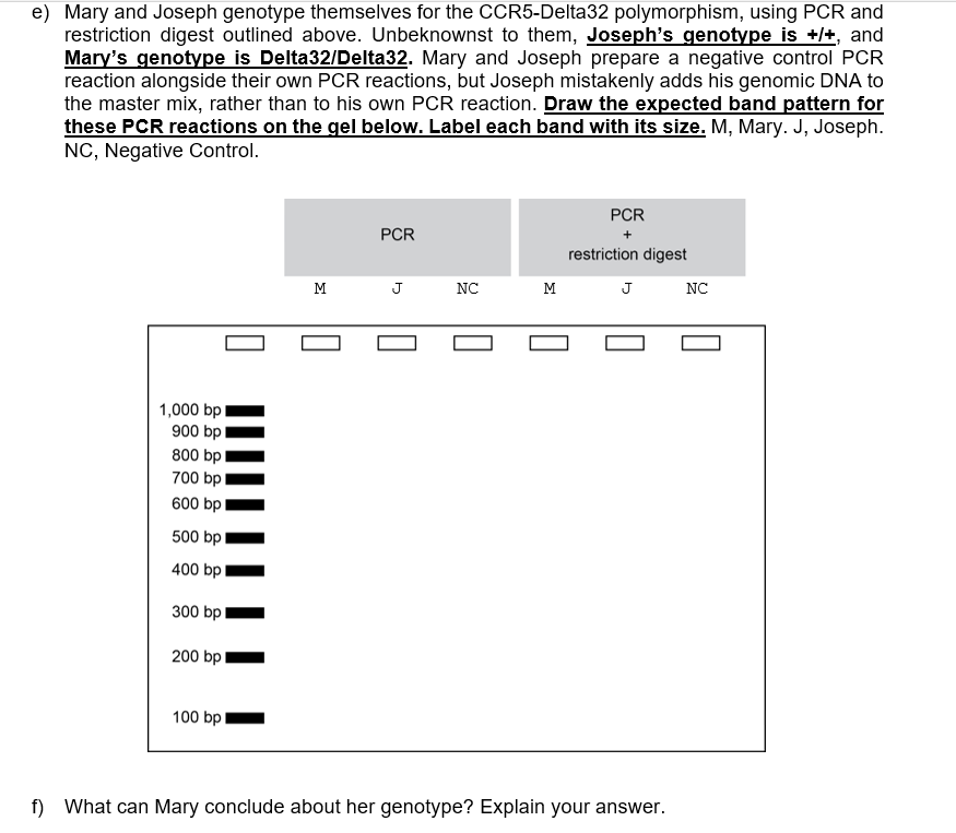 Solved 2. You wish to genotype yourself for the CCR5-Delta32 | Chegg.com