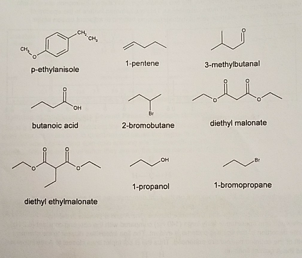Solved CH CH CH 1-pentene 3-methylbutanal p-ethylanisole 0 | Chegg.com