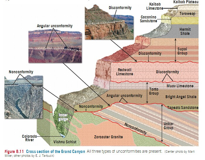 1. Are the Bright Angel shale and Tapeats | Chegg.com