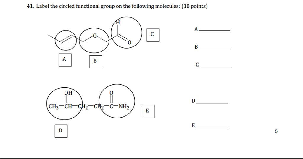 Solved Label the circled function group on the following | Chegg.com