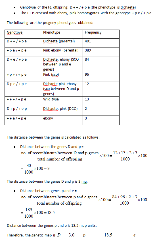 (Solved) - In Drosophila, Dichaete (D) is a mutation on chromosome III ...