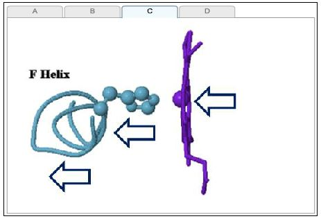Solved The image below shows the F helix (with a selection | Chegg.com