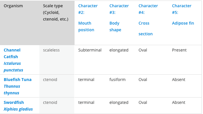 Solved Organism Scale type (Cycloid ctenoid, etc.) Character | Chegg.com