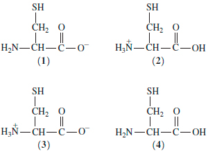Cysteine Structural Formula