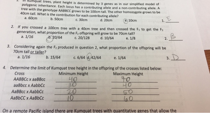 Solved In Kumquat trees, plant height is determined by 3 | Chegg.com