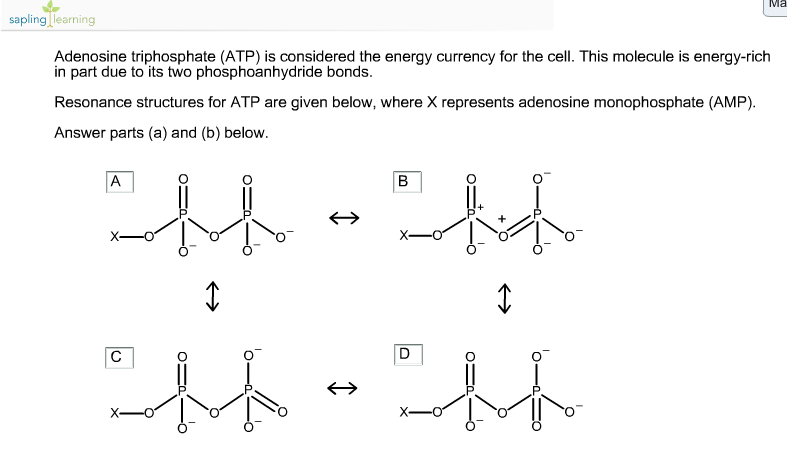 Solved: (a) Of The Structures Above, Which Are Appropriate... | Chegg.com