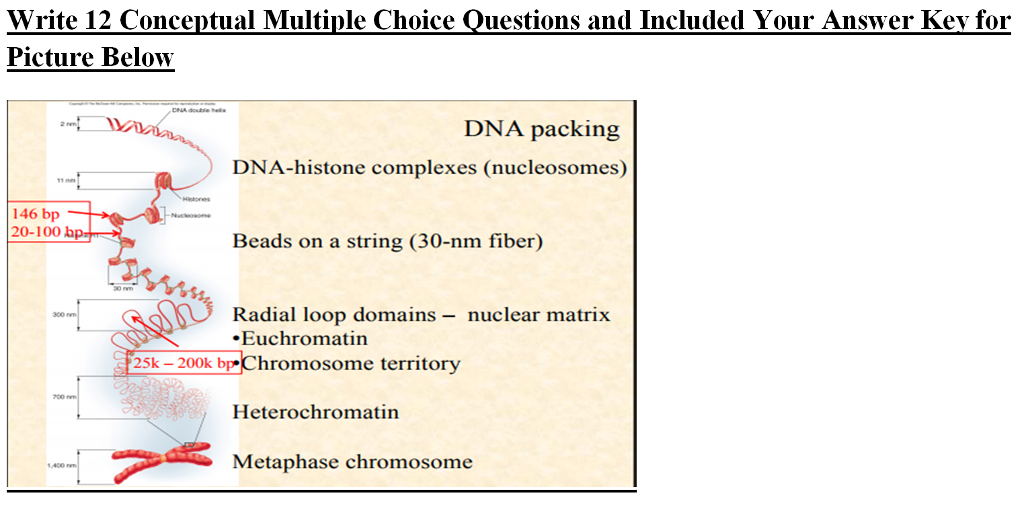 Note: Write 12 Conceptual Multiple Choice Questions | Chegg.com