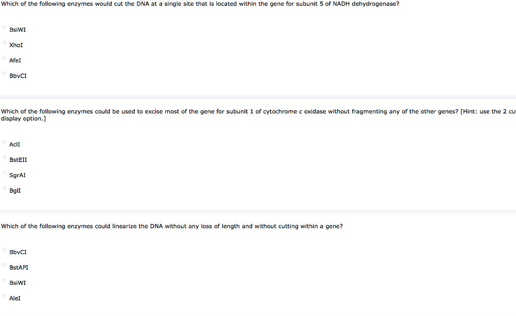 Solved Which of the following enzymes would cut the DNA at a | Chegg.com