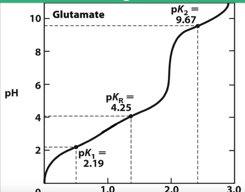 Solved 10 Glutamate 2 9.67 8 6 pH 4.25 4 2 I 2.19 1.0 2.0 | Chegg.com