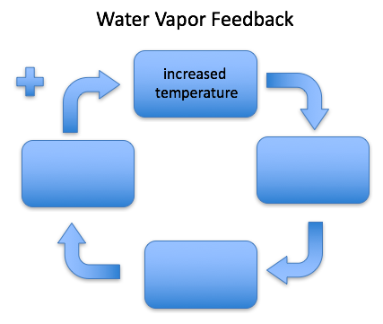 Solved Feedbacks are often illustrated by feedback cycles.In | Chegg.com