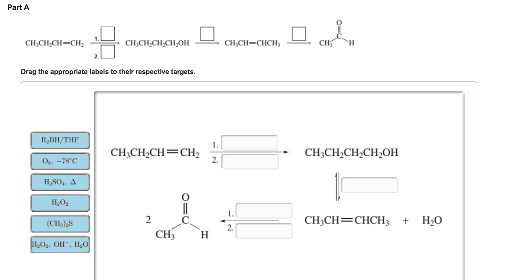 Solved Part A CH CH2CH-CH2 CH3CH CH2CH2OH Drag the | Chegg.com