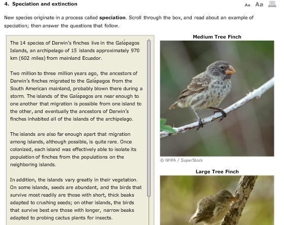 Solved 4. Speciation and extinction Aa Aa New species | Chegg.com