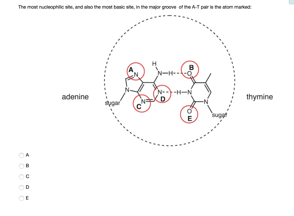 Solved The structure of polyethylene glycol (PEG) is shown | Chegg.com