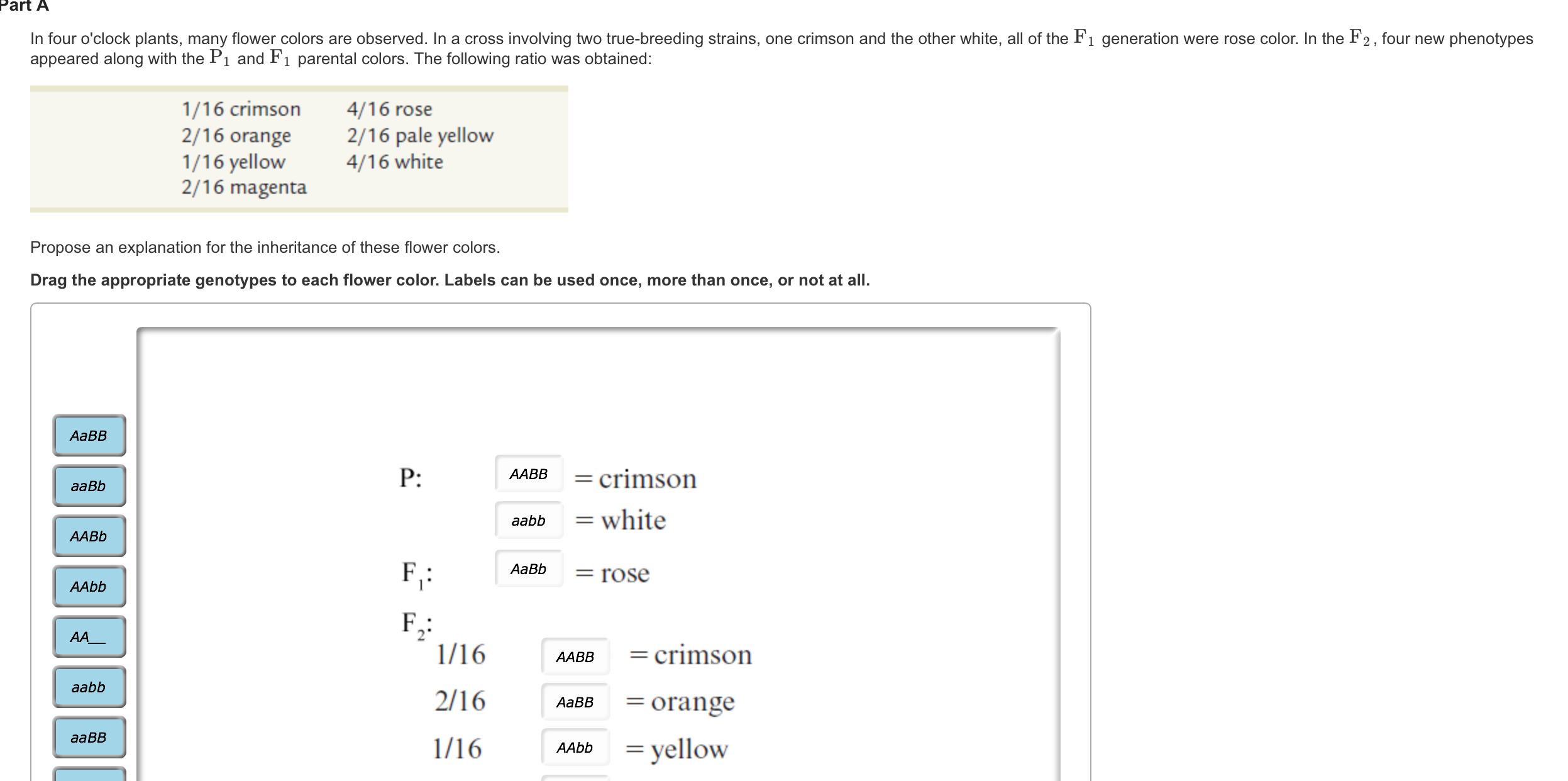 Solved Please Help...I cannot figure out this genetics | Chegg.com