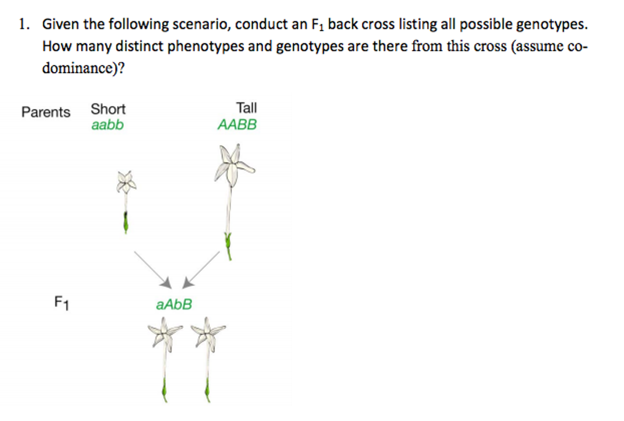 Solved Given the following scenario, conduct an F_1 back | Chegg.com Solved Given the following scenario, conduct an F_1 back | Chegg.com