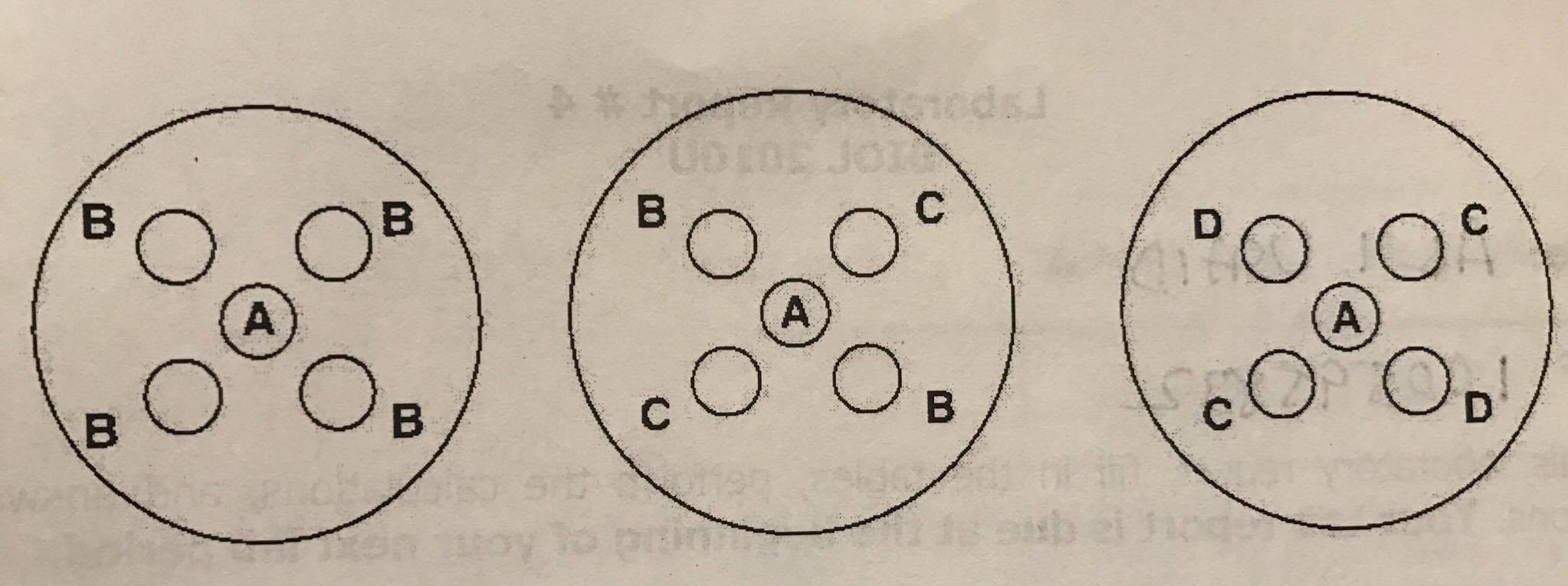 Solved The Ouchterlony procedure..Please intrepret what | Chegg.com