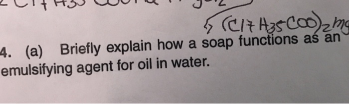 Solved Briefly Explain How A Soap Functions As An