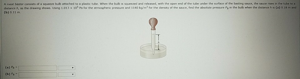 Solved A meat baster consists of a squeeze bulb attached to | Chegg.com