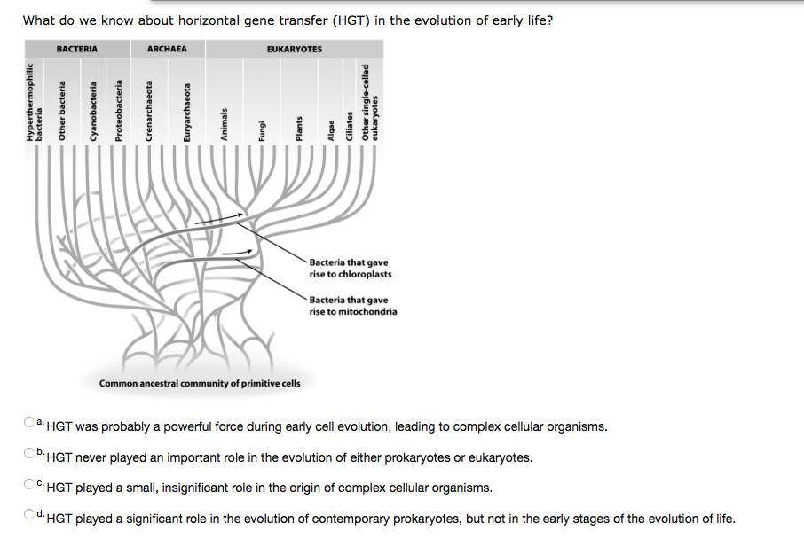 Solved What do we know about horizontal gene transfer (HGT) | Chegg.com