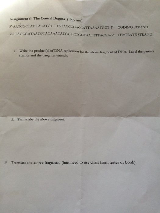 Solved I do not know whether to transcribe/translate the | Chegg.com
